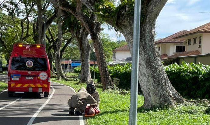 Warga emas maut disengat tebuan | UMMAHToday | Sumber Berita Mutakhir Ummah